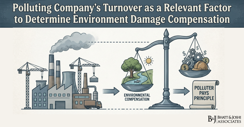 Polluting Company's Turnover as a Relevant Factor to Determine ...